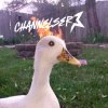 Иконка канала channelser