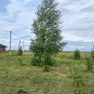 Иконка канала Строим без опыта