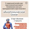 Иконка канала Йога_Научный_подход