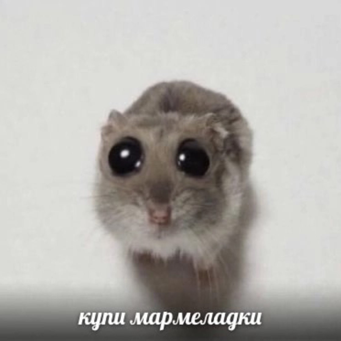 Иконка канала Jety