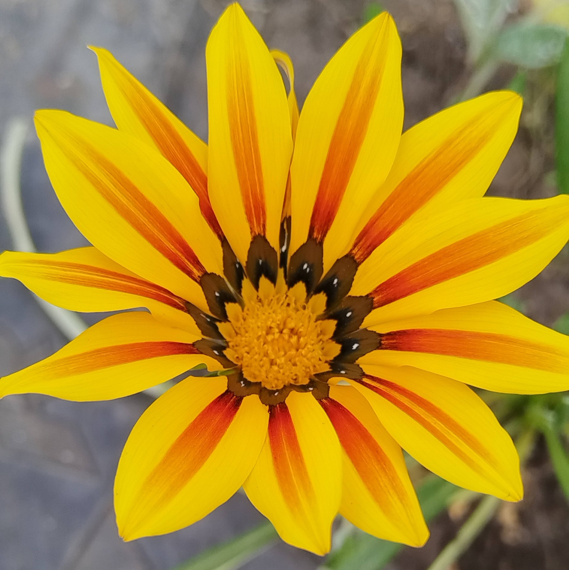 Иконка канала Будни многодетной семейки.