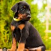 Иконка канала BigBear5