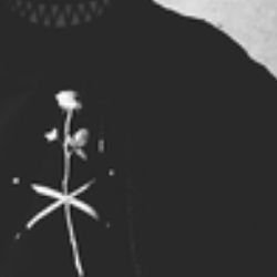 Иконка канала zjones