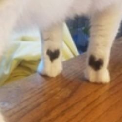 Иконка канала Paul65