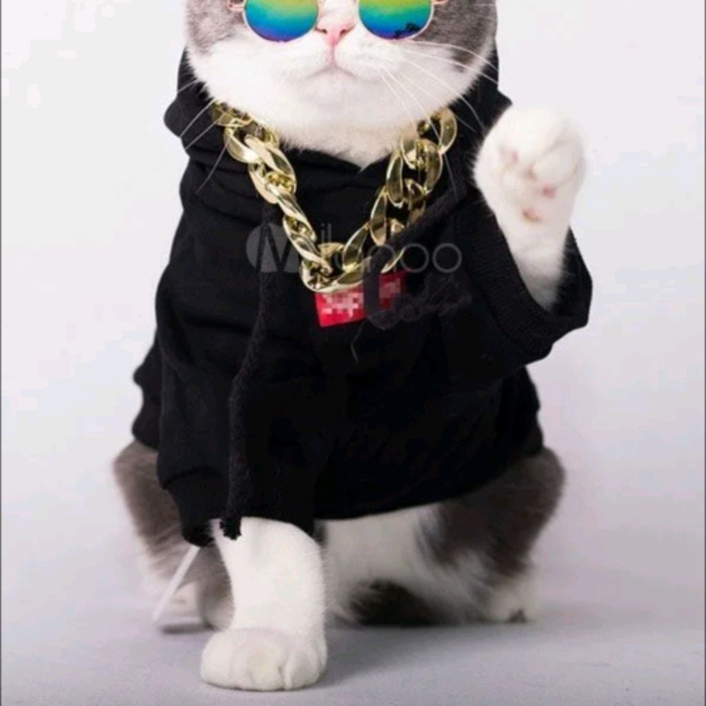 Иконка канала Заливной Кот