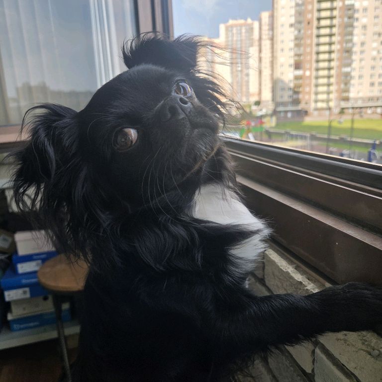 Иконка канала Ну Иван ИВАНЫЧ!