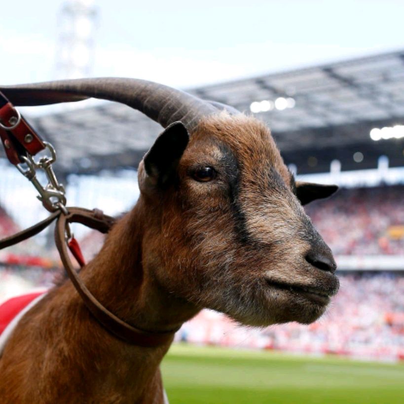 Иконка канала Igor (Перезаливы с YouTube) Развлечения