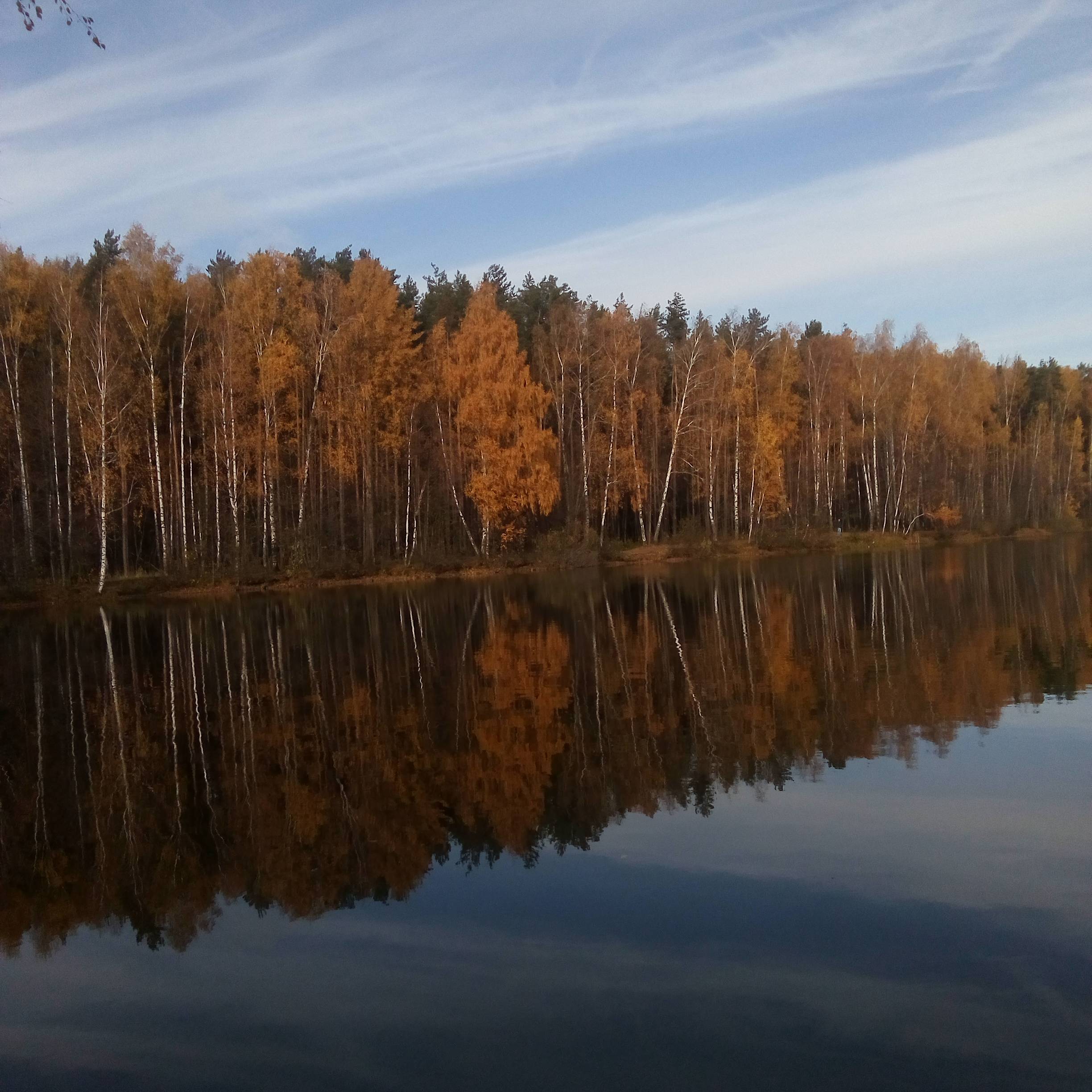 Иконка канала Присутствие духа
