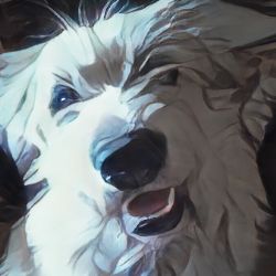 Иконка канала НЕЙРО СОБАКА