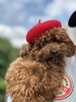 Иконка канала Жмяк