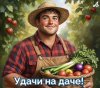 Иконка канала Дачные хитрости.Сад и огород.