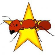 Иконка канала Ant Collection