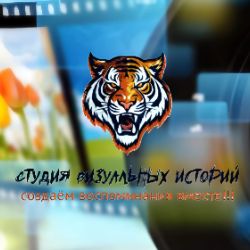 Иконка канала Студия Визуальных Историй