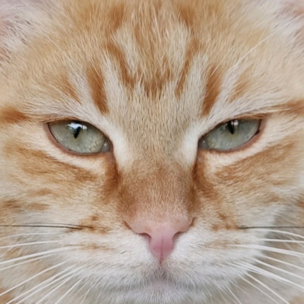 Иконка канала Сергей Архия