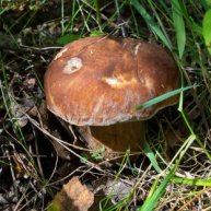 Иконка канала Владимир Анатольевич