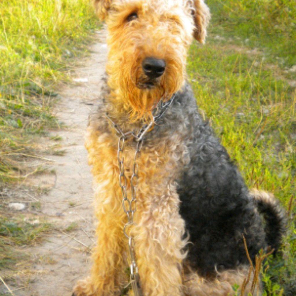 Иконка канала Электроник