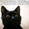Иконка канала channel67625417