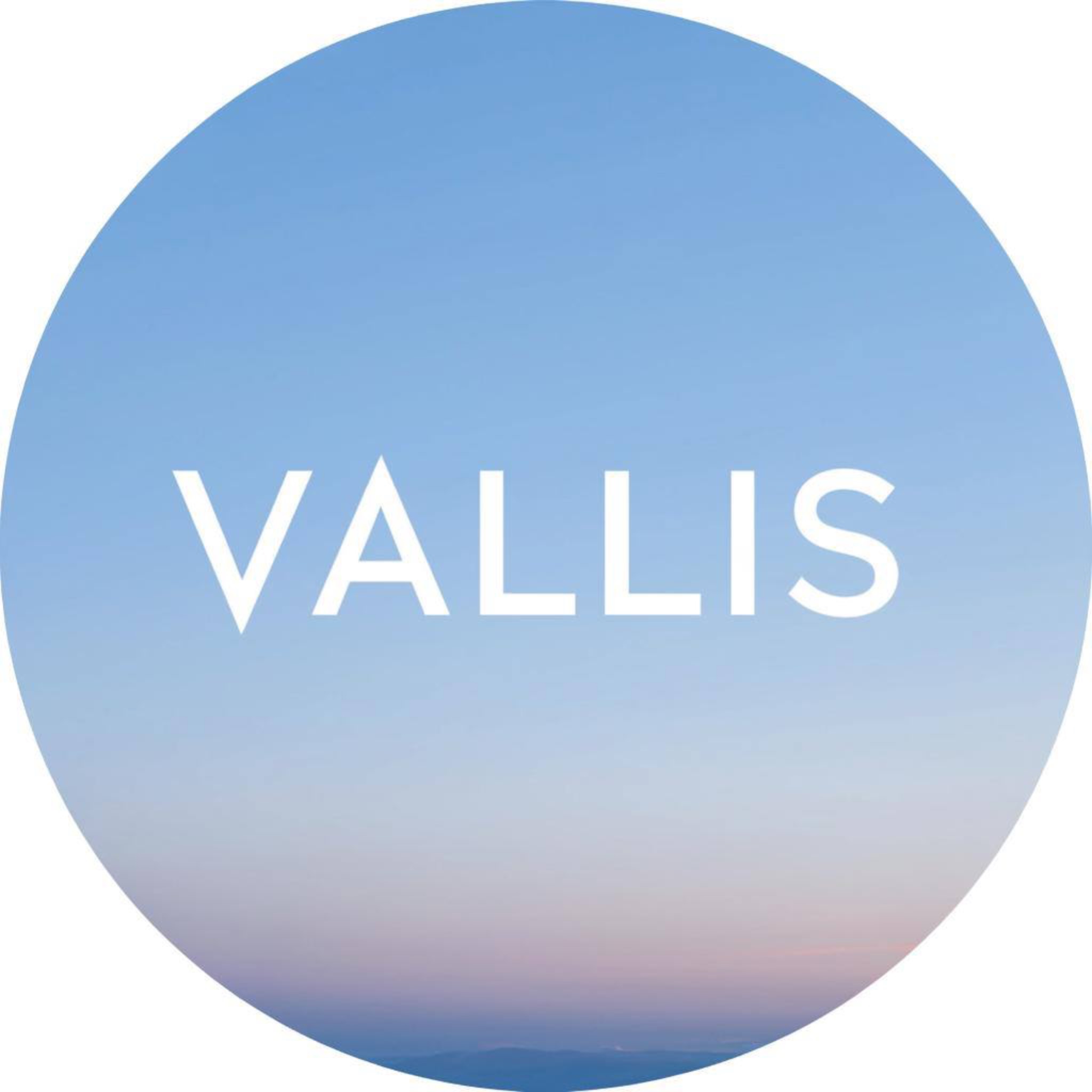 Иконка канала VALLIS