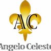 Иконка канала Angelo Celeste питомник левреток