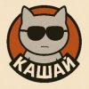 Иконка канала KASHAI