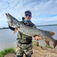 Иконка канала GlobalFish86