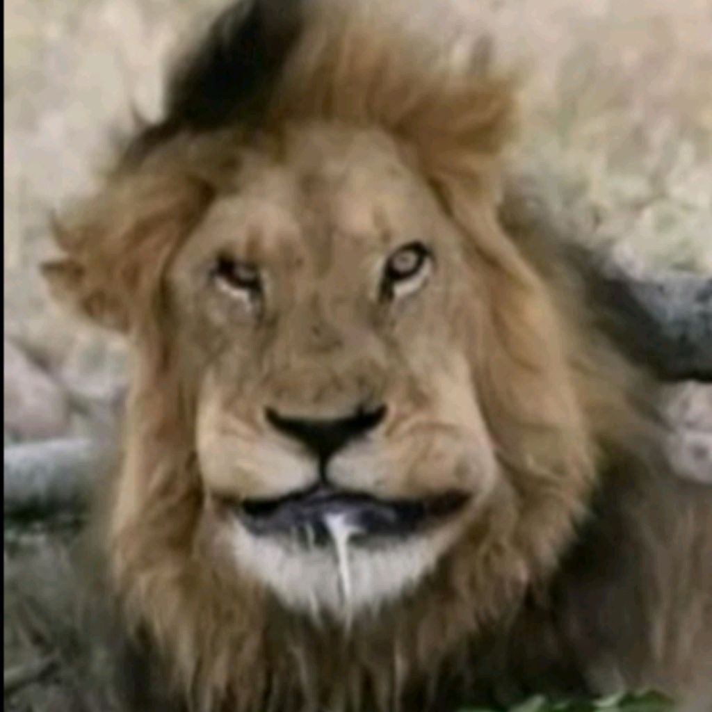 Иконка канала Смерть В Нищете