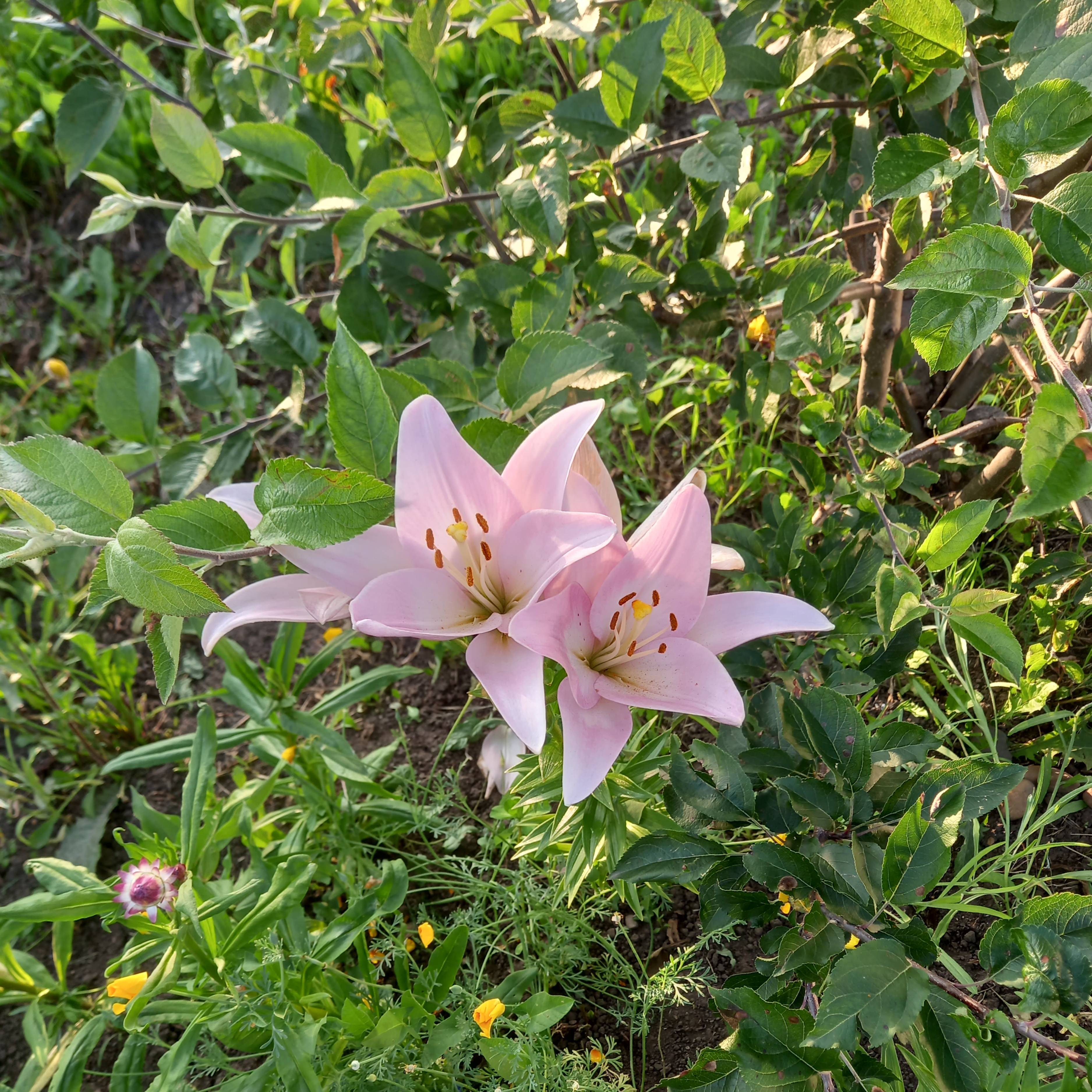 Иконка канала channel28528789