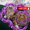 Иконка канала 🐈Беня фурия🐉