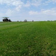 Иконка канала Производство Рулонного Газона СПб Эко Газон