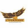 Иконка канала Баскетбольный клуб «Стремление»