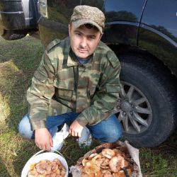 Иконка канала Александр Попов - жизнь с природой