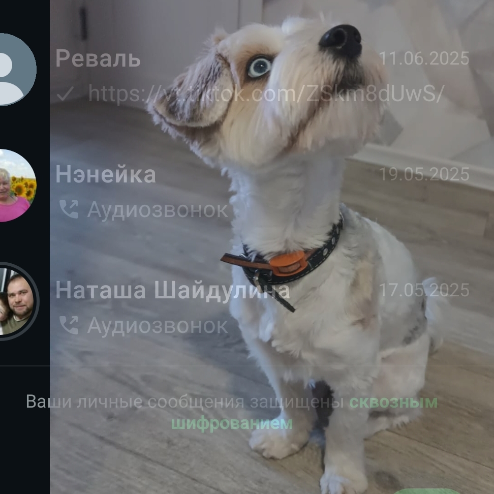 Иконка канала Аймбел и эмбл