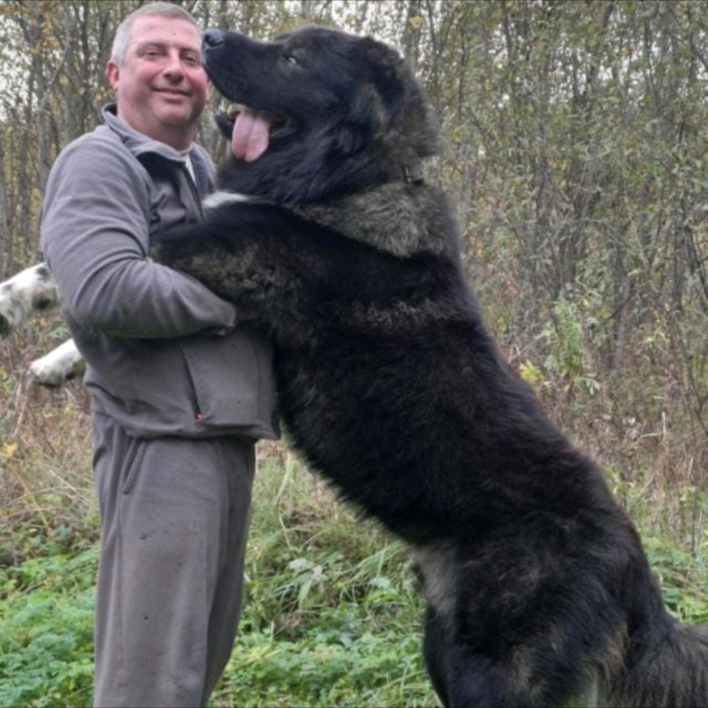 Иконка канала Савушка Растёт