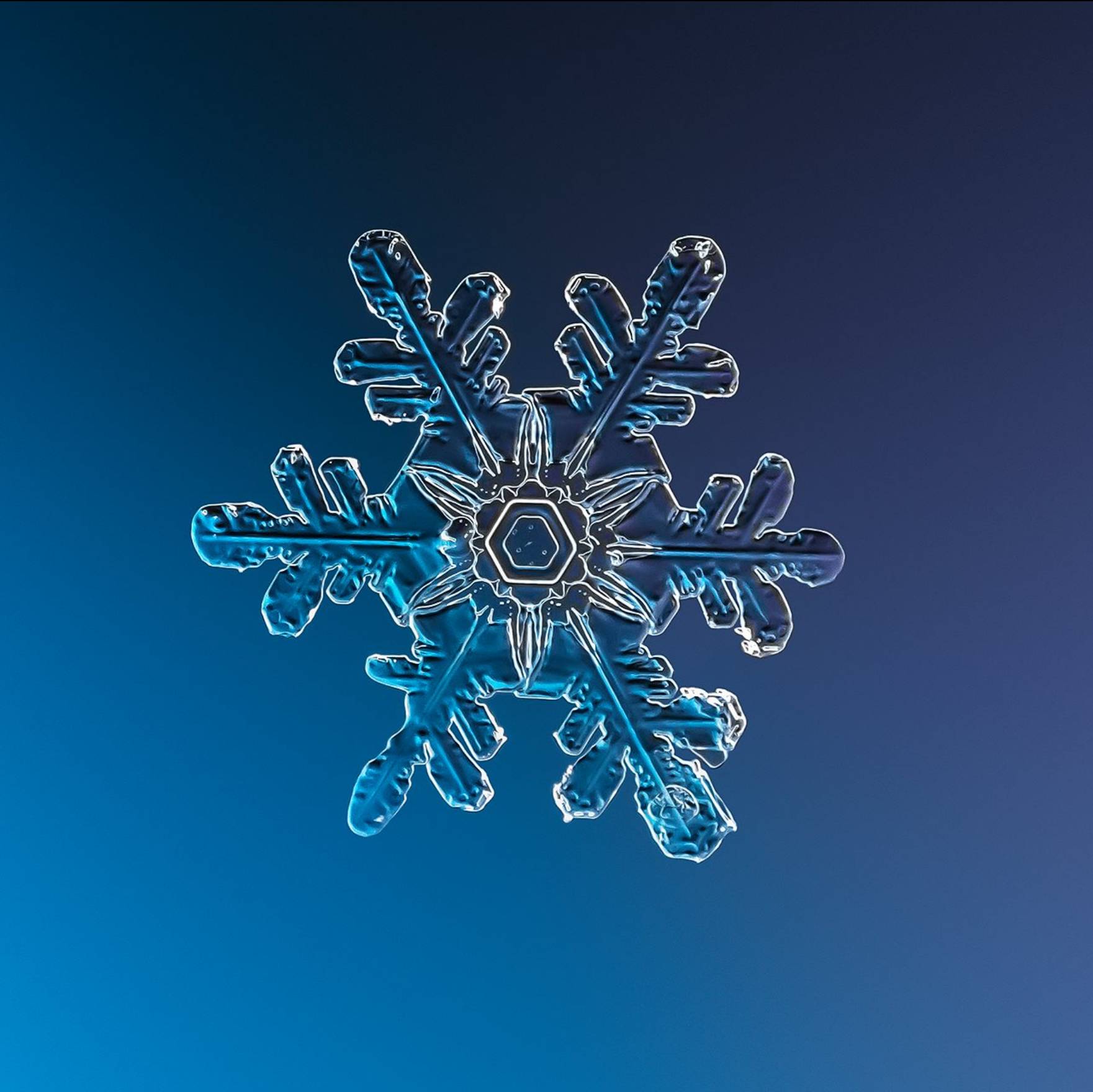 Иконка канала Камомæ 鴎