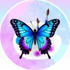 Иконка канала Бабочка красок