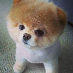 Иконка канала Atom1k