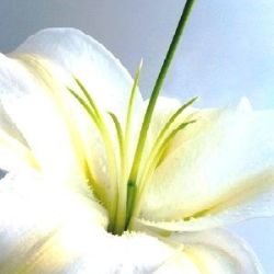 Иконка канала Мастерская украшений Гашниковой Лилии