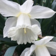 Иконка канала Надежда Сити Город Мечты ❄️