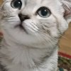 Иконка канала Корпорация Видео