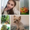 Иконка канала 🌿🐟_Yarkaya_🐕🌿