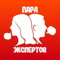 Иконка канала Пара экспертов