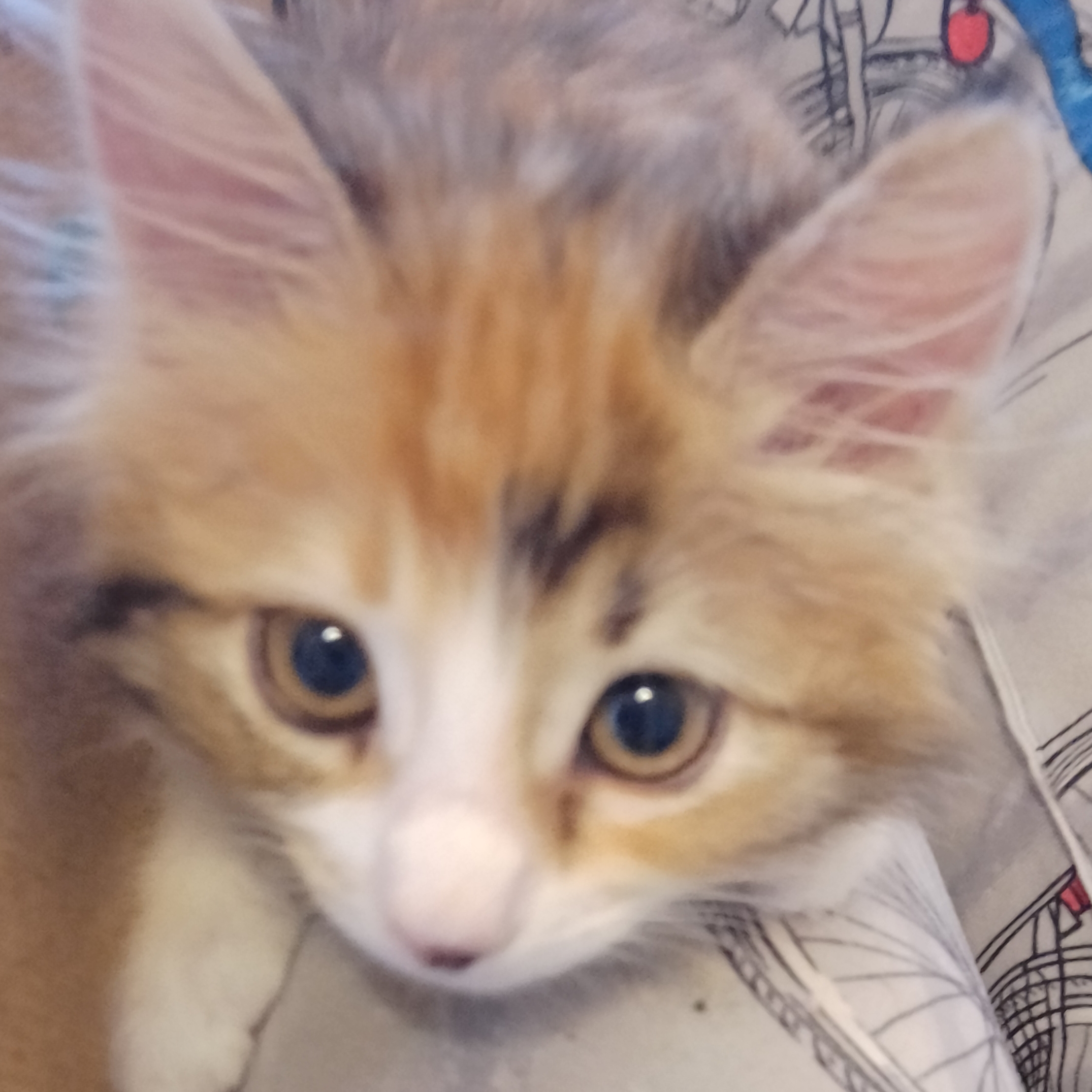 Иконка канала Мурлана