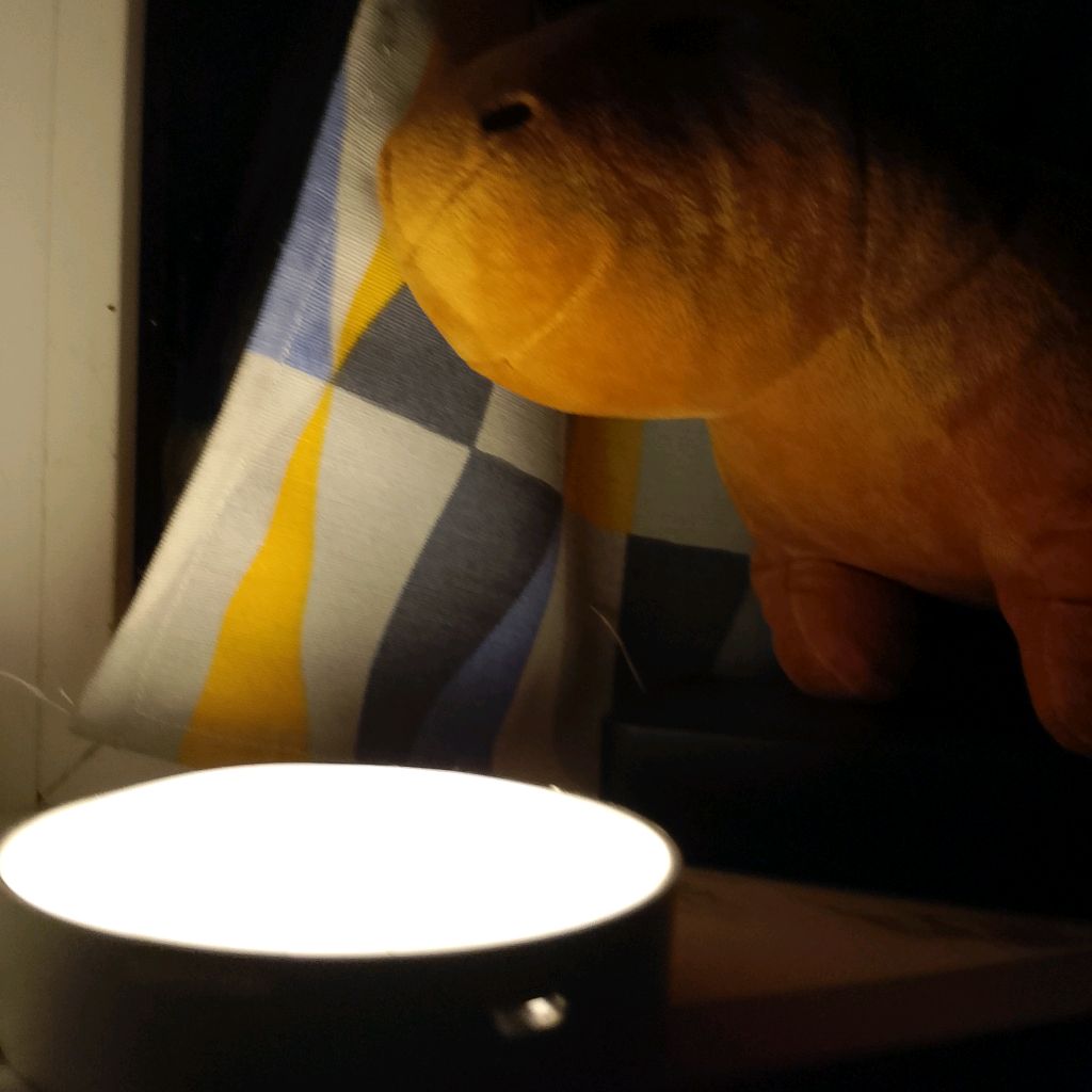 Иконка канала Kabibara In Night