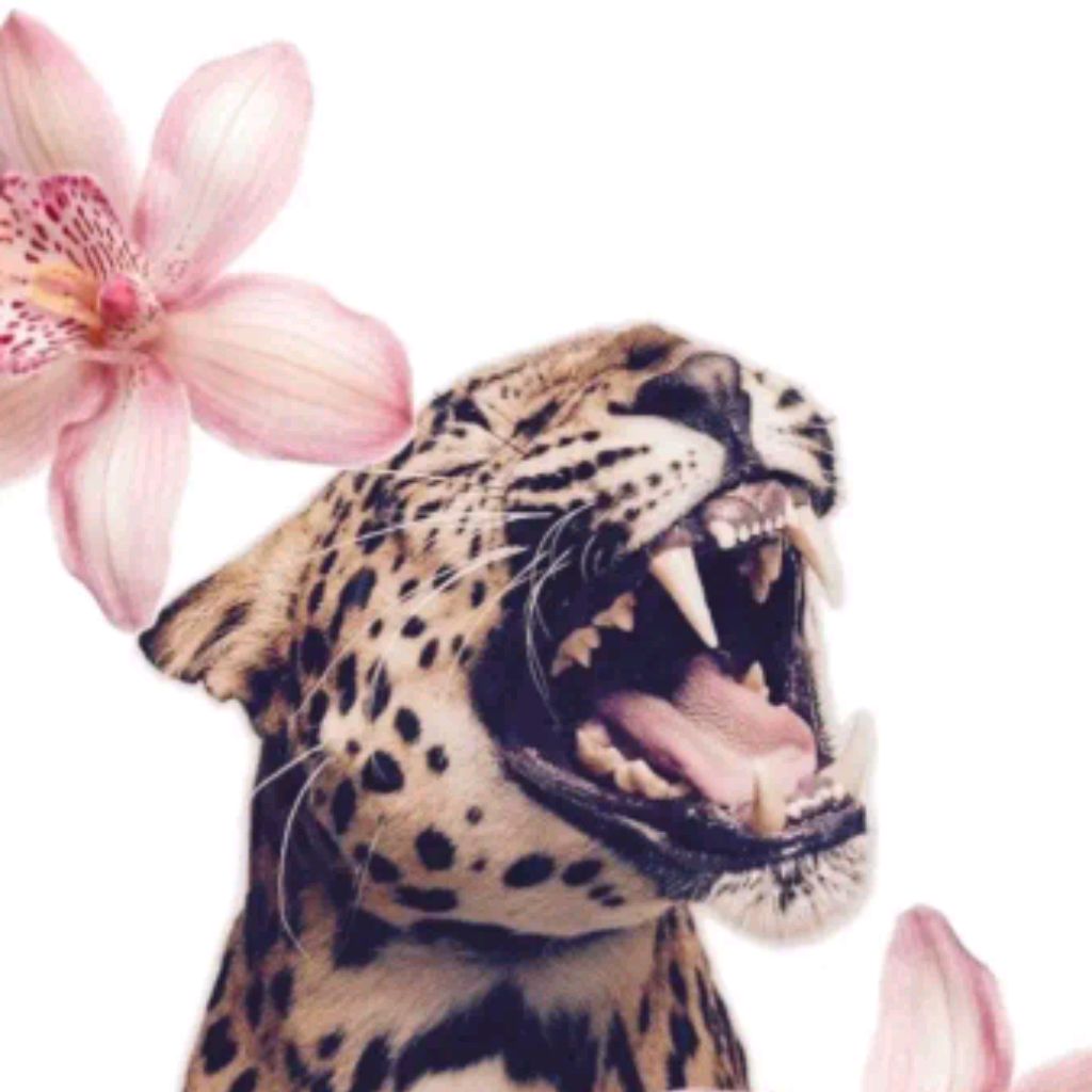 Иконка канала Angel🌸💕