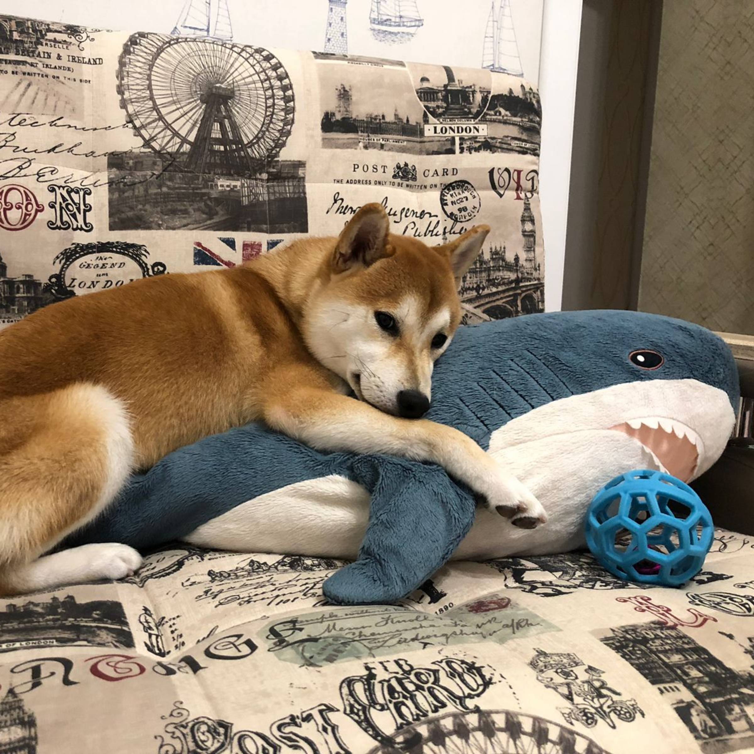 Иконка канала НЯШИК