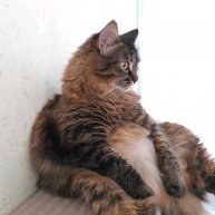 Иконка канала Тётя ЛЮСЯ