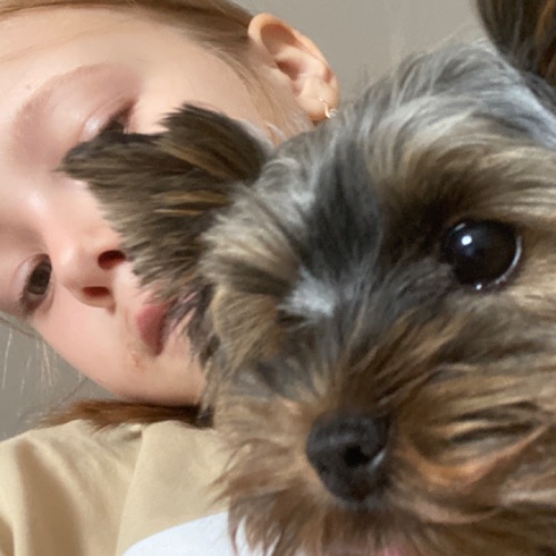 Иконка канала Ауsi ilve