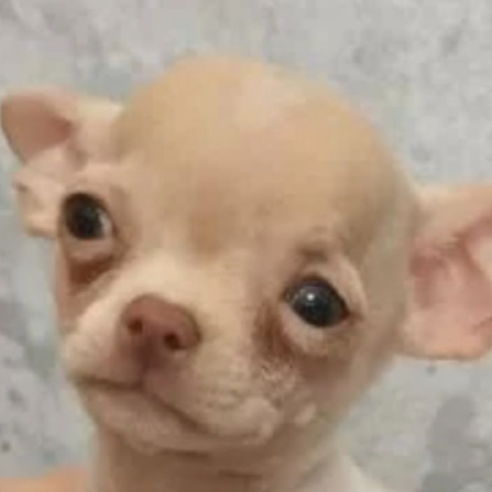 Иконка канала Алекс Тип