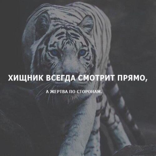 Иконка канала PUBG_Natalia_25200