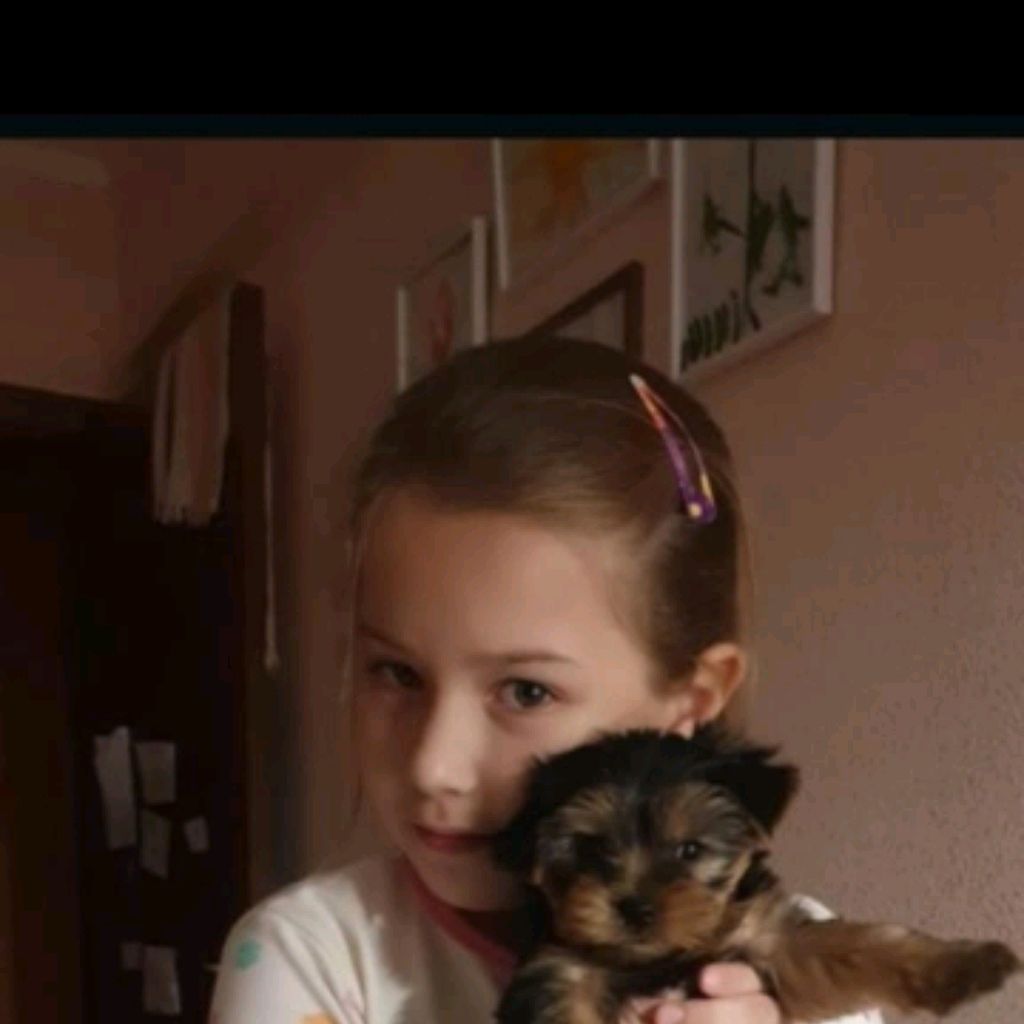 Иконка канала Рексюша